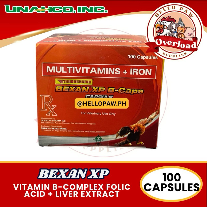 Bexan XP 100 Capsules (ACTUAL PHOTO) | Shopee Philippines