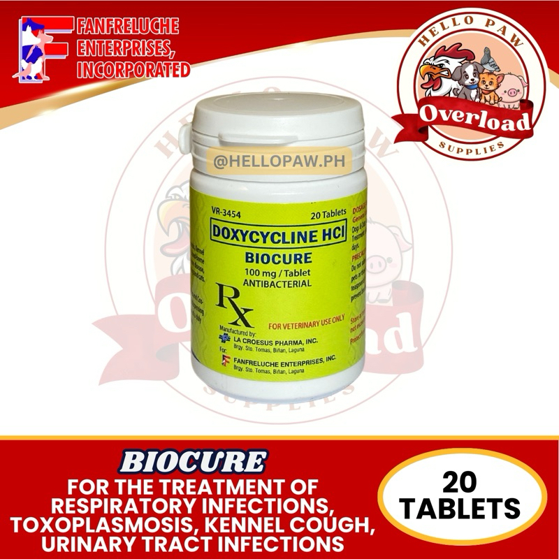 BIOCURE - 20 tablets | Shopee Philippines