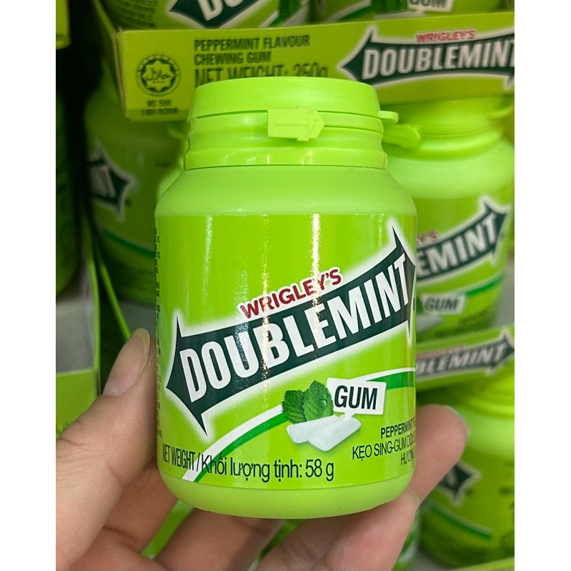 Wrigley’s Double Mint Gum | Shopee Philippines