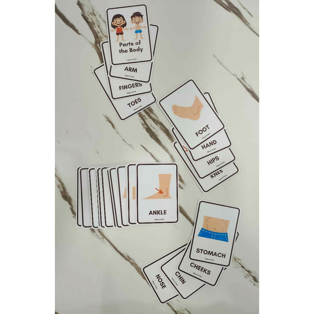 LEARNING KIT,Flash card Parts of the body | Shopee Philippines