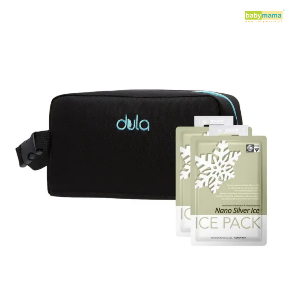 Dula Cooler Pouch w/ Ice Pack - Black | Shopee Philippines