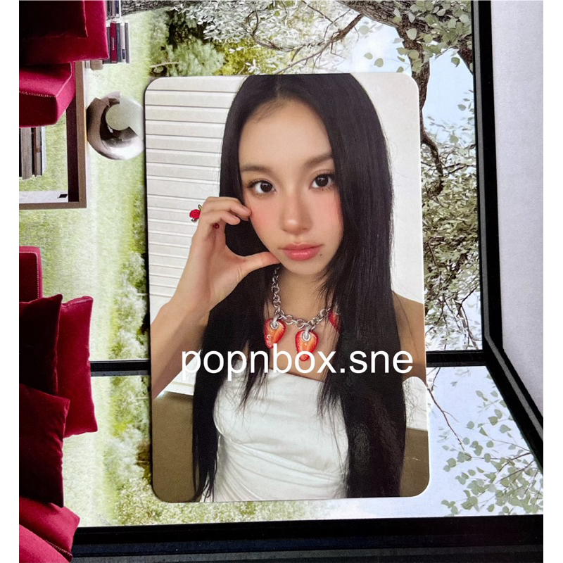 TWICE CHAEYOUNG Official STRATEGY Album (Photobook Ver - Standard Ver ...