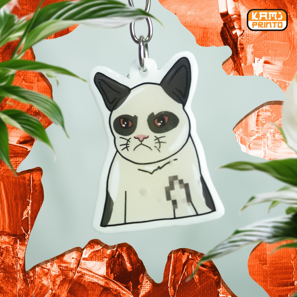 Grumpy Cat Meme Resin Keychain – Sassy Feline with Attitude | Shopee ...