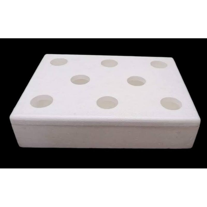 Katanim box 8 holes for hydroponics | Shopee Philippines