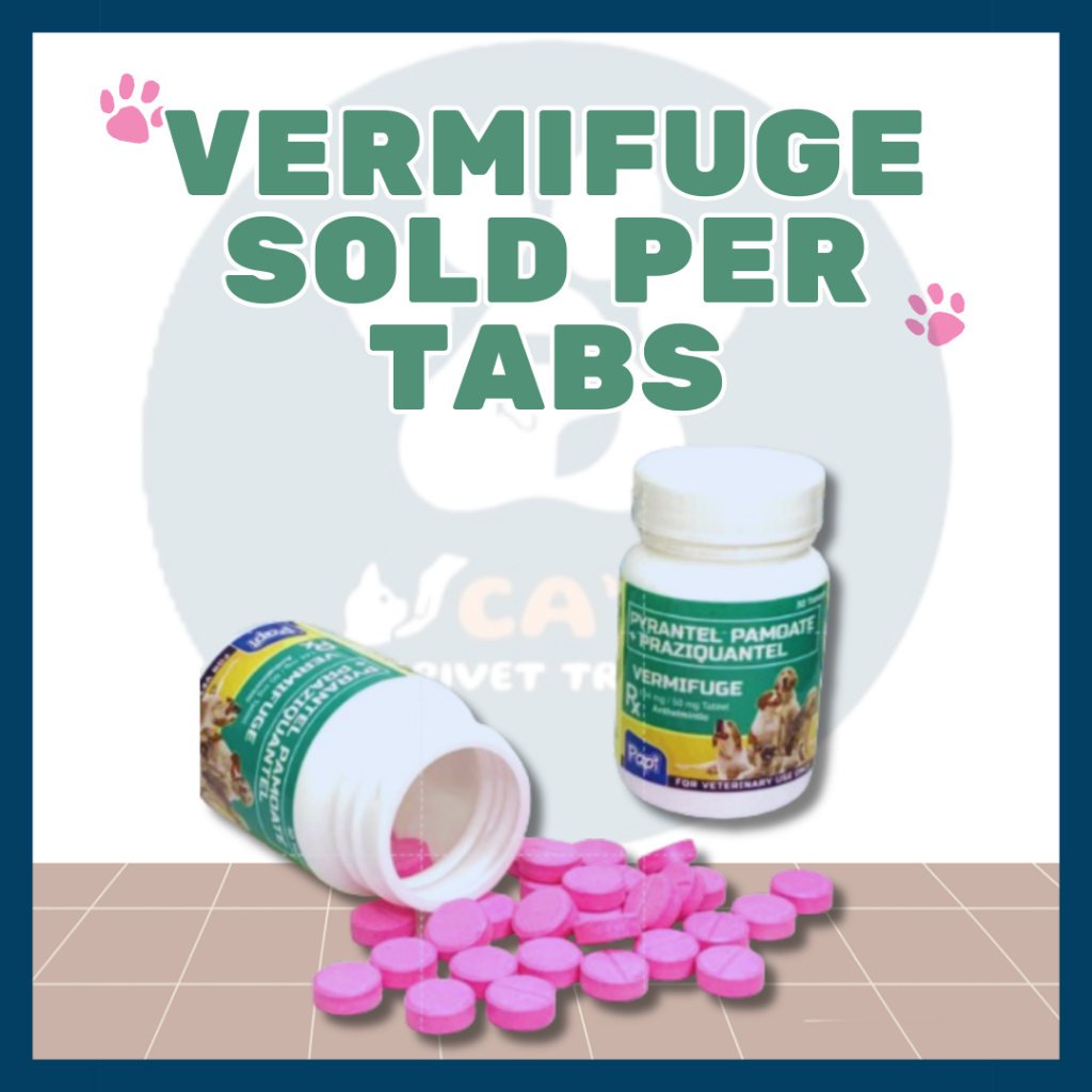 [CARE AGRIVET] Papi Vermifuge Dewormer for Dogs and Cats (Tingi) / Pang ...