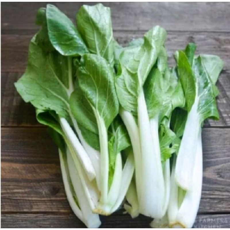 Pechay Seeds for planting (Approx 1000 seeds) certified seeds | Shopee ...