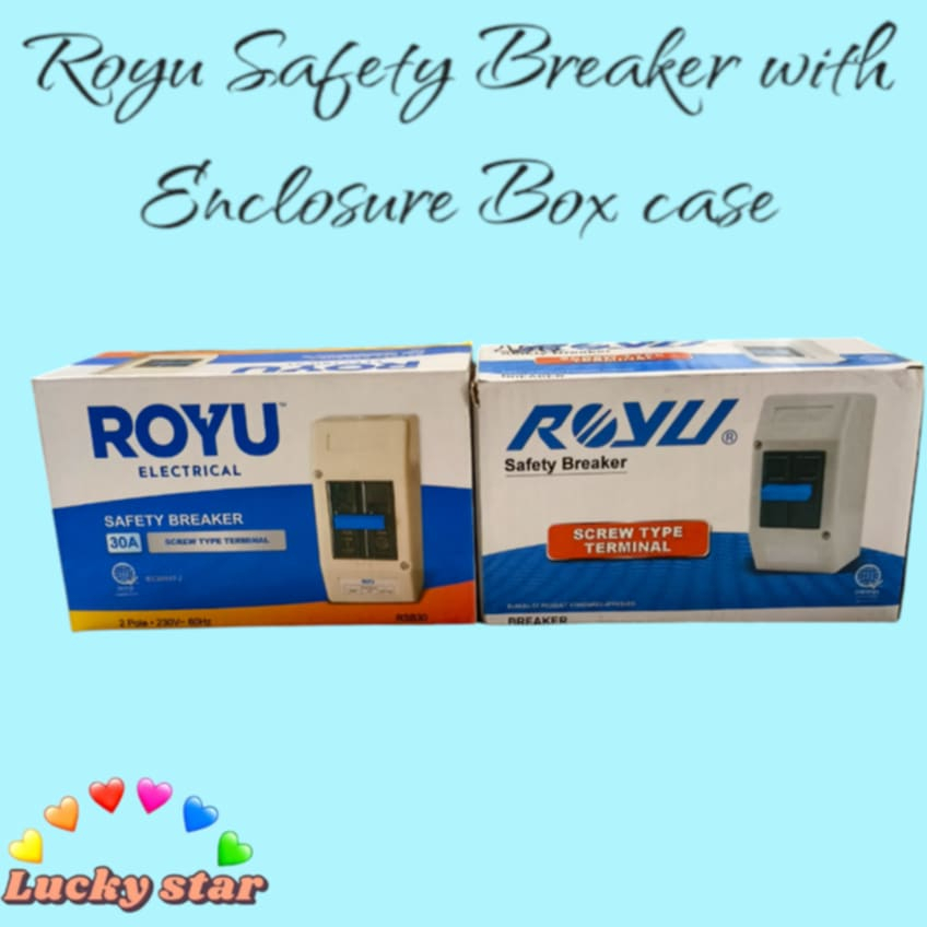 ROYU Safety Breaker - With Enclosure Box Case (Screw Type Terminal ...