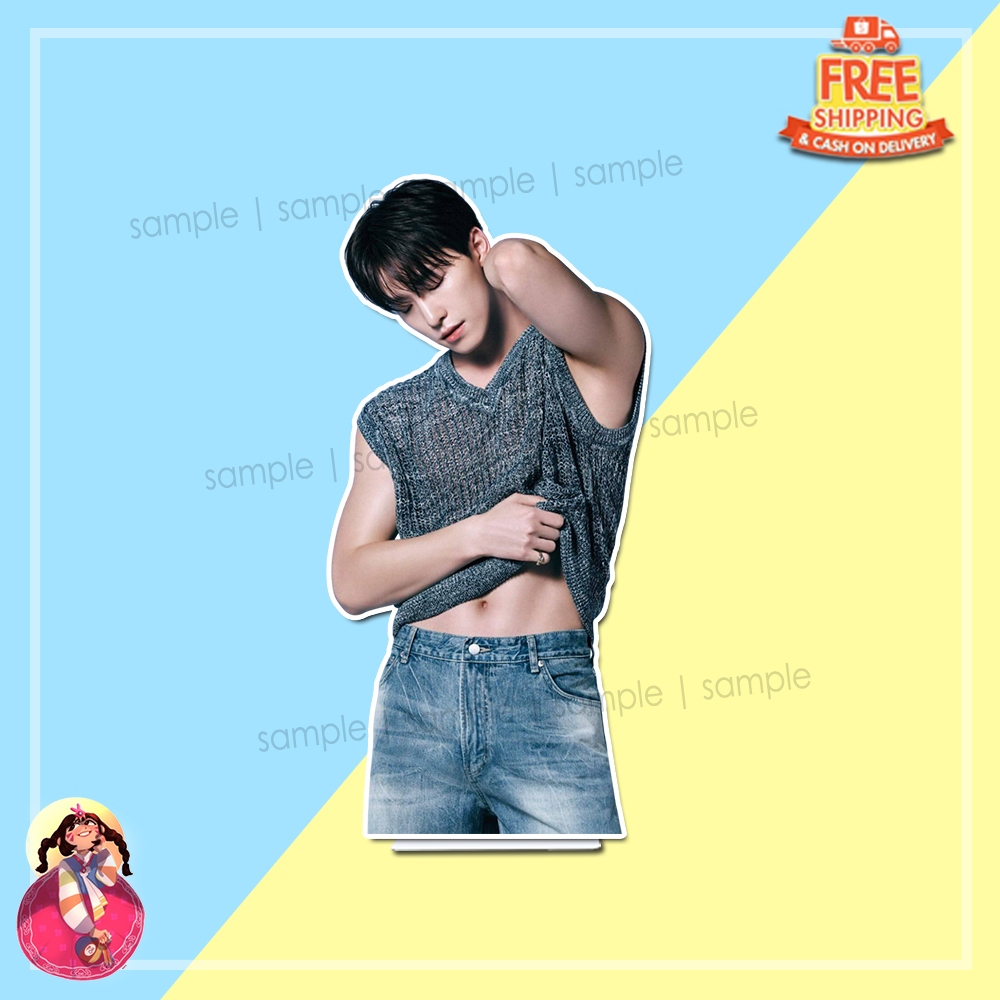 Seventeen Dino Standee | hdsplus2 version 10 half body | Shopee Philippines