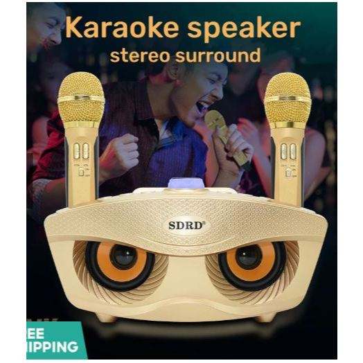 SDRD SD306 Professional Bluetooth Karaoke Speaker with Two Wireless ...