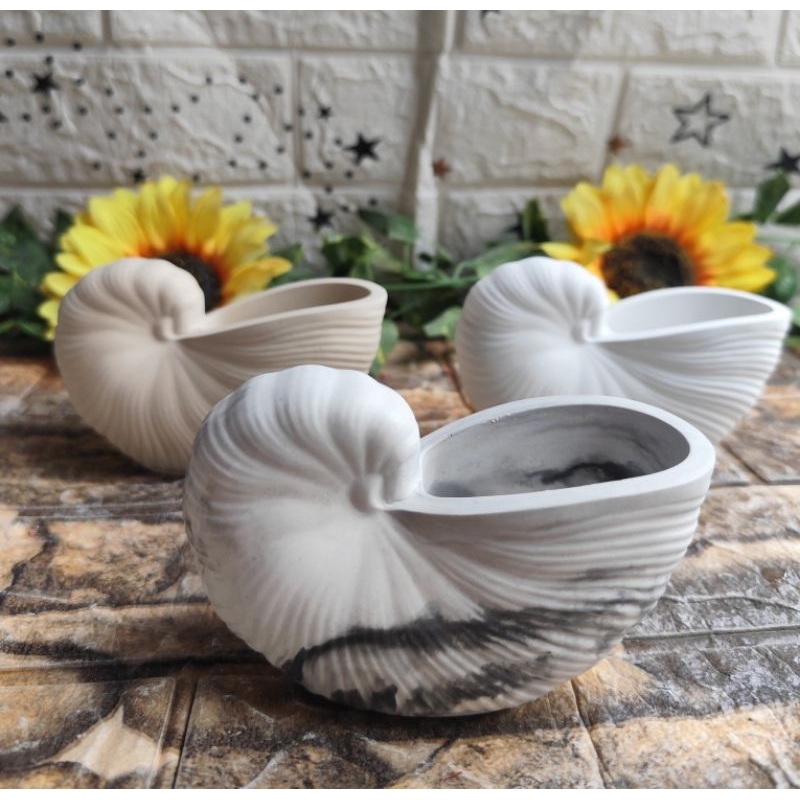 Aesthetic Mollusk Shell Conch vessel for candle and home decor | Shopee ...