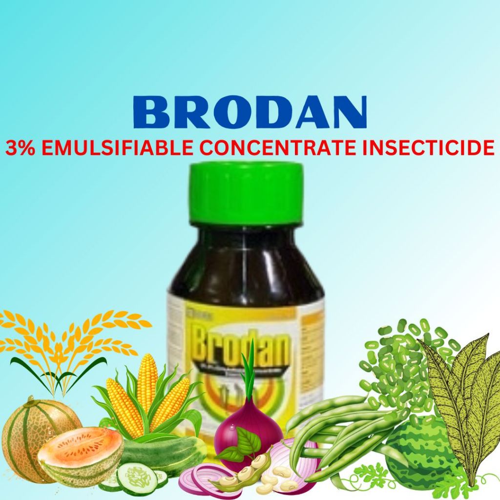 BRODAN - 250ML - INSECTICIDE | Shopee Philippines