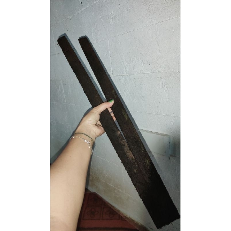 Fern Stick (coco pole) 2ft | Shopee Philippines