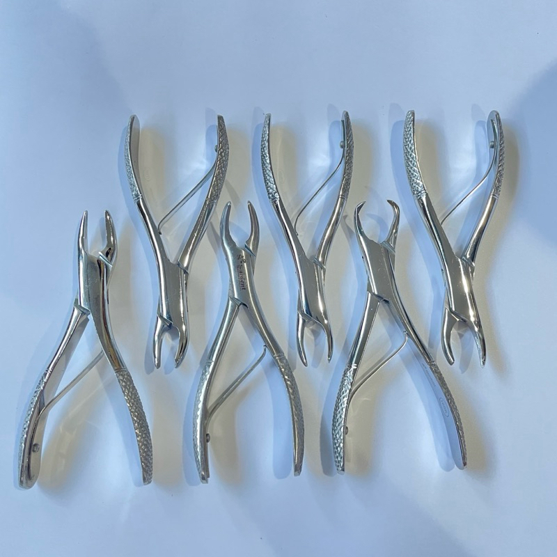 Surdent Extraction Forceps Per Piece German Stainless | Shopee Philippines