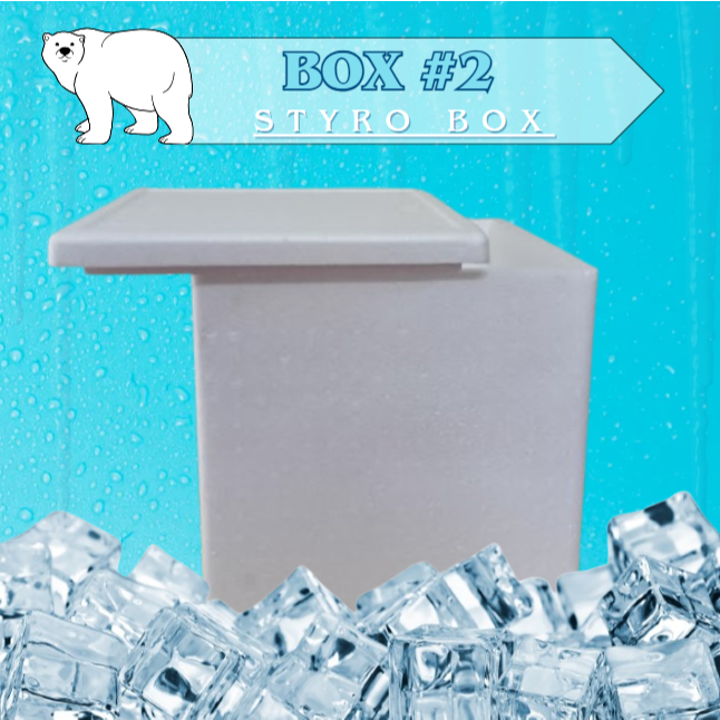 (BIG BOX) STYROBOX / STYRO BOX / PICNIC BOX ICE CHEST / ICE BOX ...