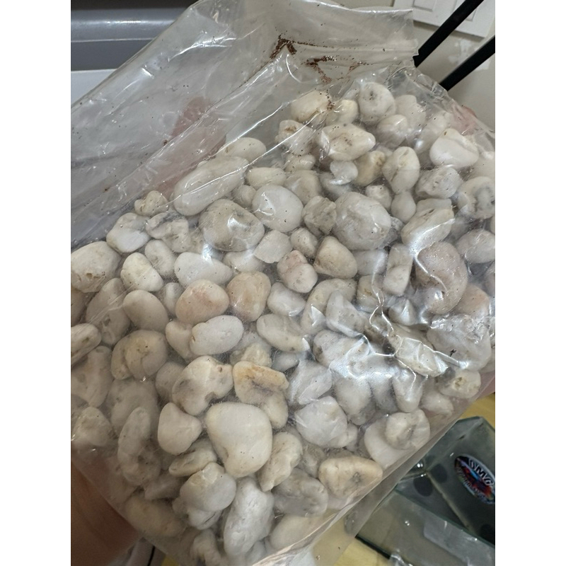 Marble Stones - Aquascaping/Aquarium/Stones/Pebbles | Shopee Philippines