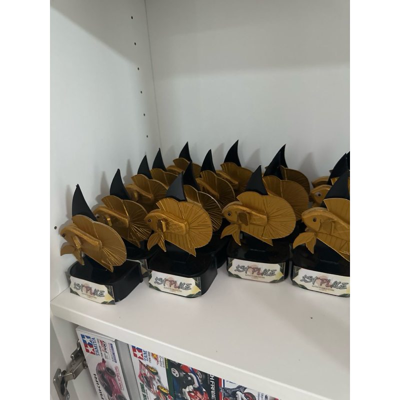 R&R Trophy placers for royal rumble | Shopee Philippines