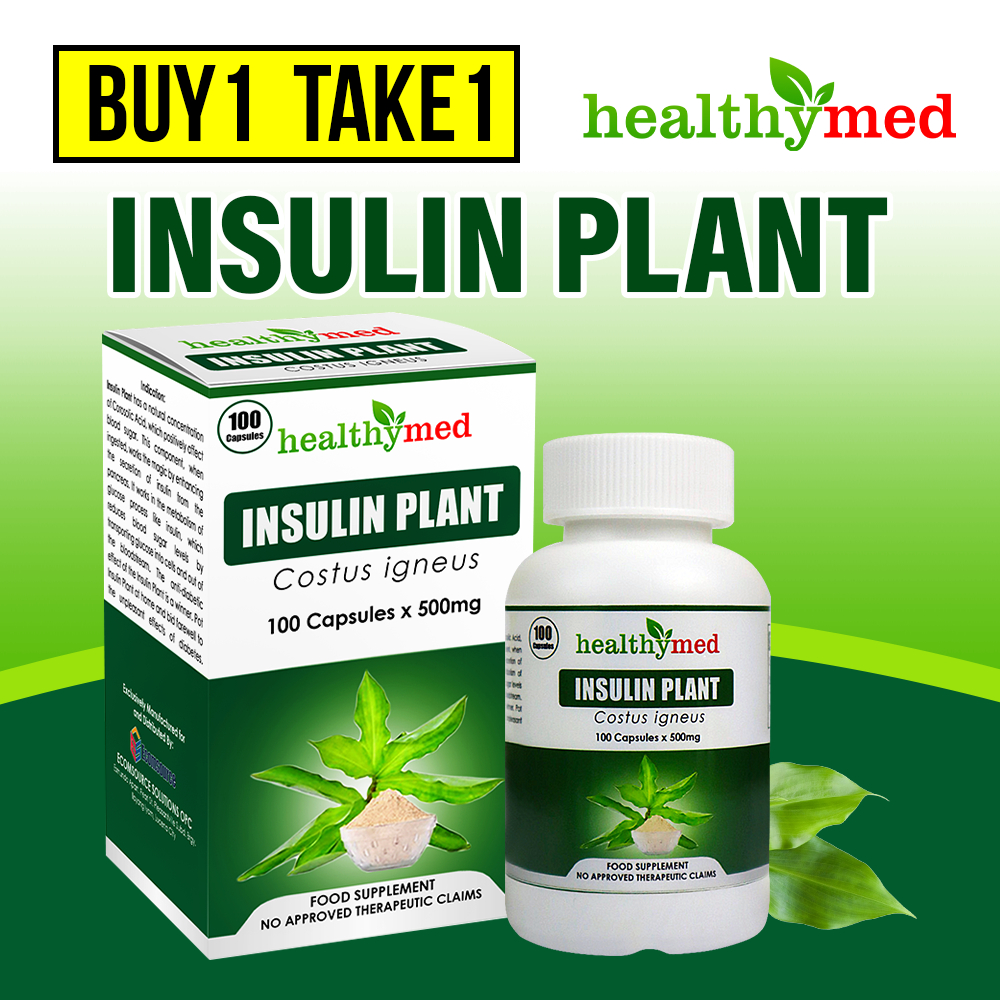 Insulin Plant Capsule (100 capsules) | Shopee Philippines