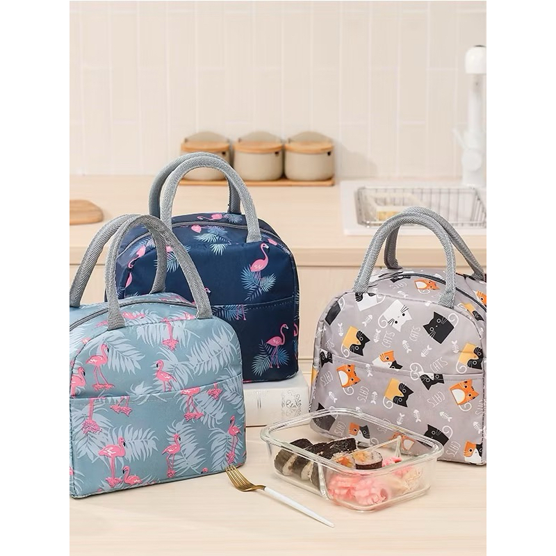 Thermal Insulated Lunch Bag for Kids / Adults with Design and Cartoon ...