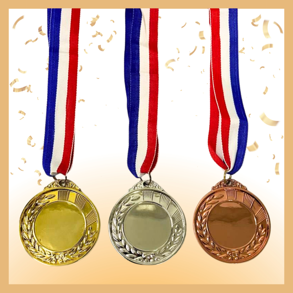 Plain Medal 6.5cm Gold/ Silver/ Bronze - Perfect for Awards and ...