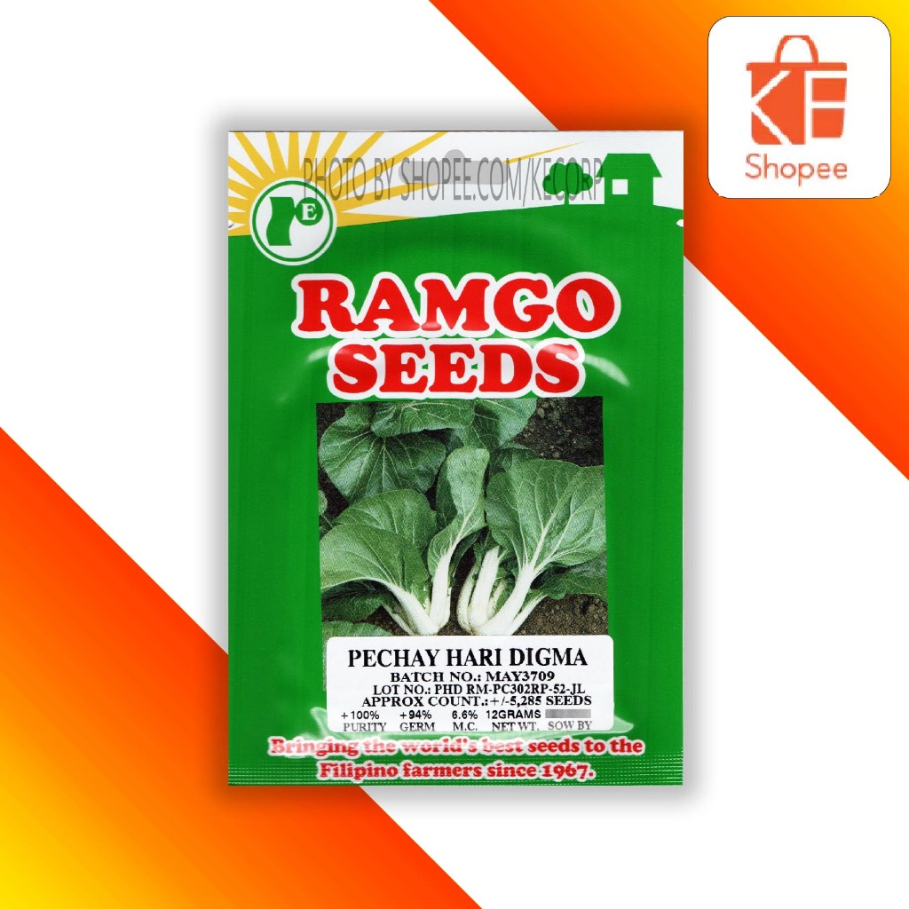 Ramgo RPD Pechay Hari Digma Seeds 12g kcS11207 | Shopee Philippines