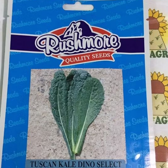 Dino Select Tuscan Kale Seeds (500seeds) | Shopee Philippines