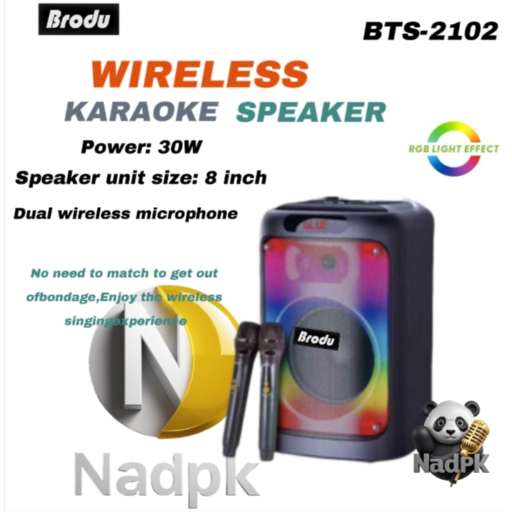 Brodu BTS-2102 8 imch IKARAOKE BOX professional system Bluetooth ...