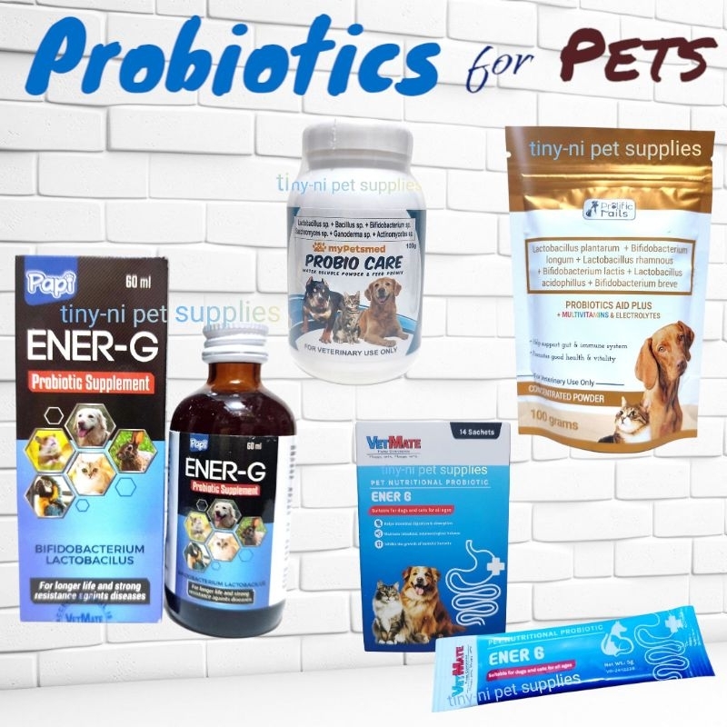Probiotics Powder for Pet Dogs Cats| Ener G Syrup - Powder / Probio ...