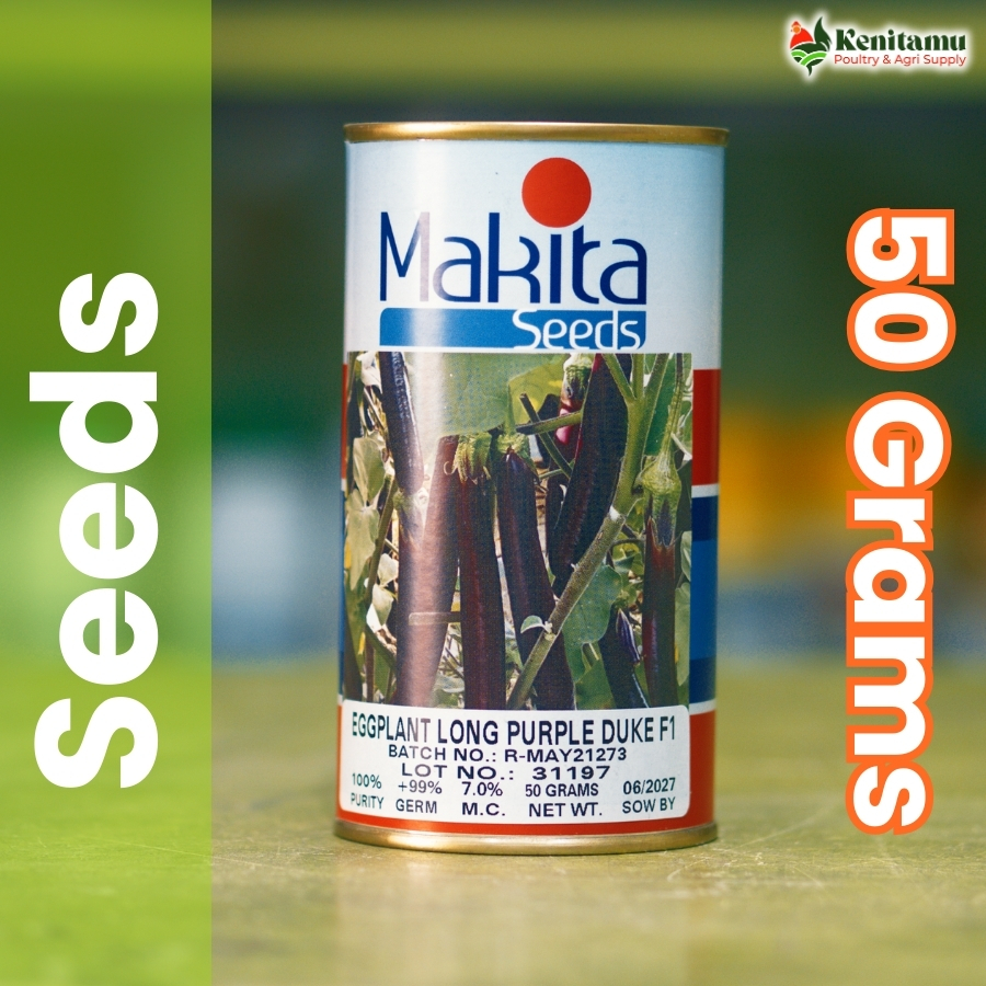 HYBRID EGGPLANT PURPLE DUKE 50g MAKITA SEEDS | Shopee Philippines