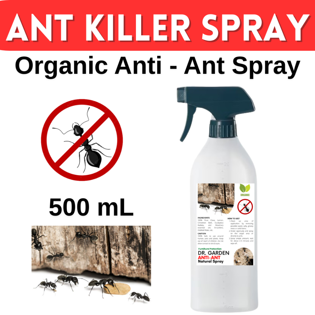ANT KILLER SPRAY Pest Gone Ant Killer Spray, Odorless Effective Langgam ...