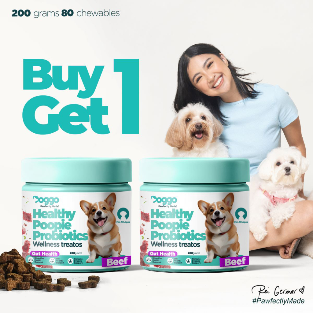 Doggo Healthy Poopie Probiotics Wellness Treatos (Combo) (200g ...