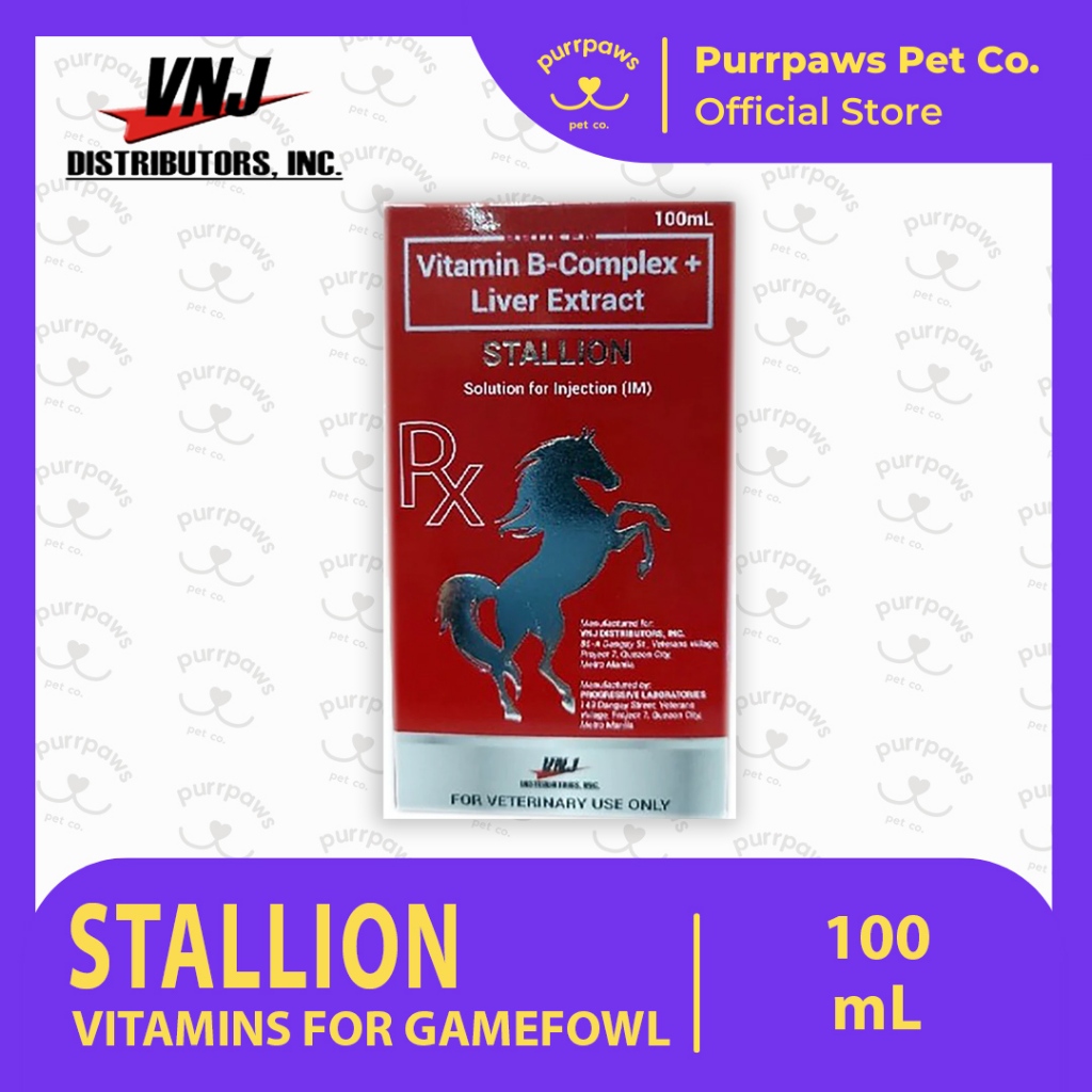 Stallion Vitamin B - Complex - Liver Extract 100ml | Shopee Philippines