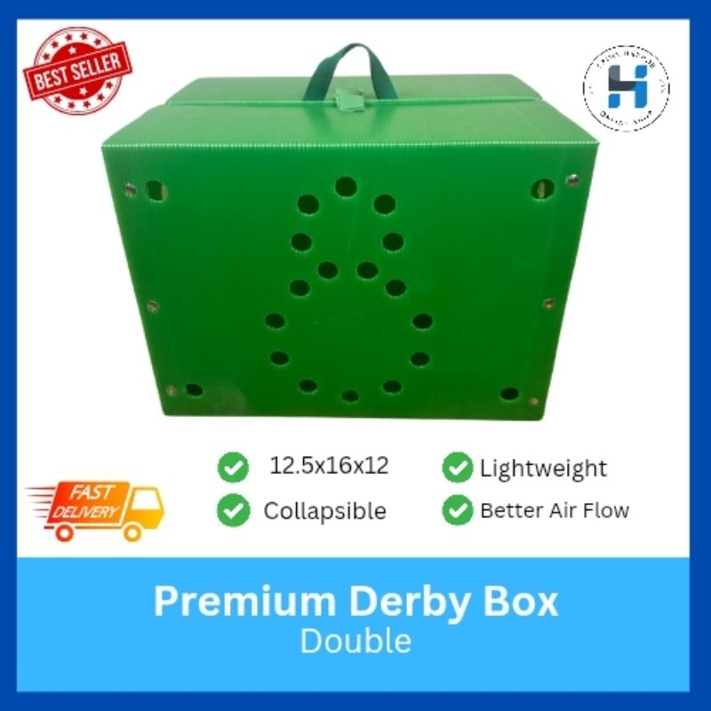 Premium Derby box double / Green and Red color / Carrier/travel box ...