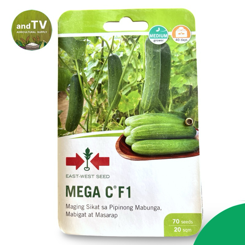 Mega C F1 Eastwest Pipino Seed | Shopee Philippines