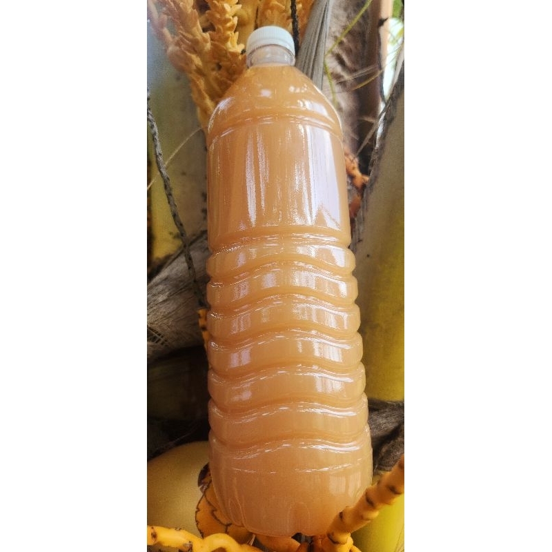 Pure Sukang Kapatid Tuba 1liter Pang MASA | Shopee Philippines