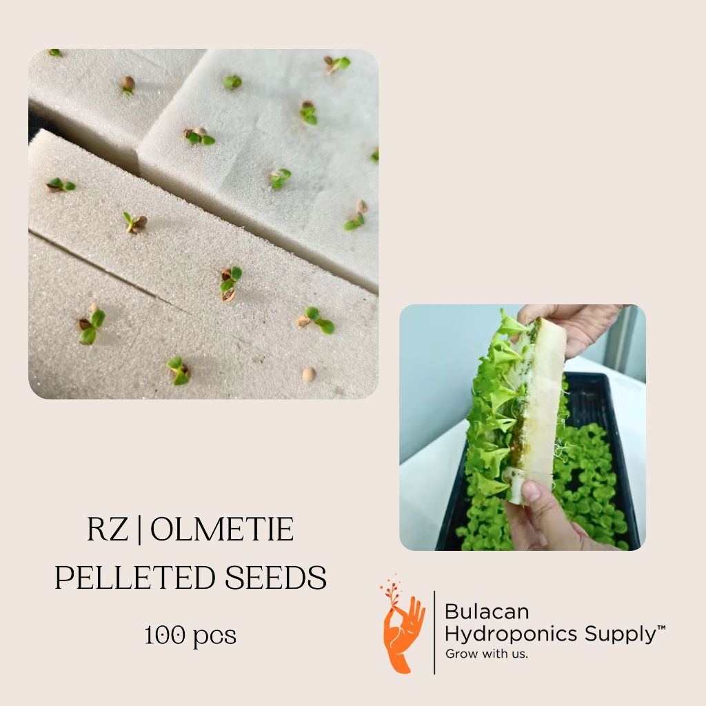 100's RZ | Olmetie Pelleted | Ba tavia Type | Shopee Philippines