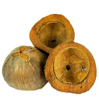 Shop bunot for Sale on Shopee Philippines