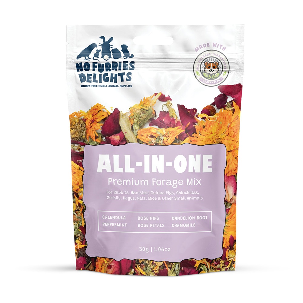 All-In-One Forage Mix | Perfect Hay/Green Topper & Treats for Small Pet ...