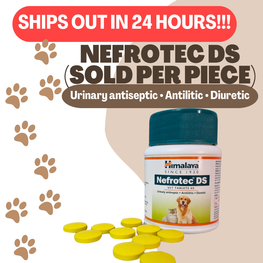 NEFROTEC - Sold per Piece Liver Supplement TW | Shopee Philippines