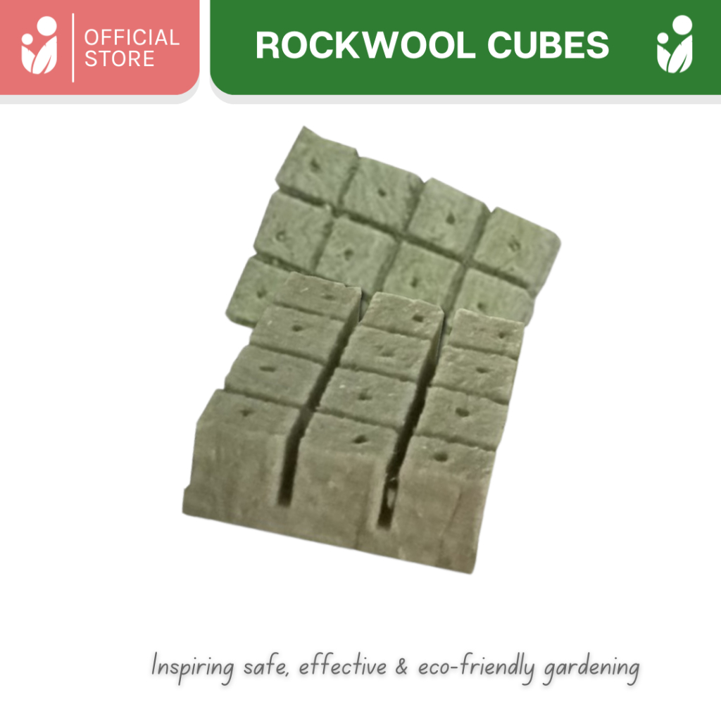 THE URBAN GARDENING SHOP Rockwool Hydroponic Seed Starter Cubes 20/40 ...