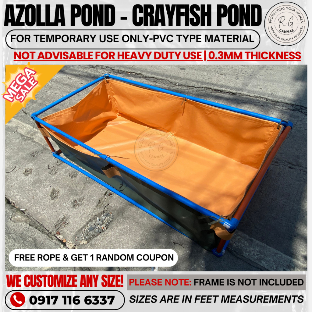 AZOLLA TRAPOND AZOLLA BED LONA TRAPAL TOLDA POND AZOLLABED TEMPORARY ...