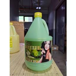 Shampoo Green Apple-1gallon ( Different Sticker, Ramdom Delivery ...