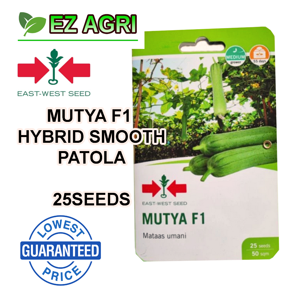 EZ EAST WEST PATOLA HYBRID F1 ORIGINAL SEALED MUTYA F1 HYBRID 25 SEEDS ...