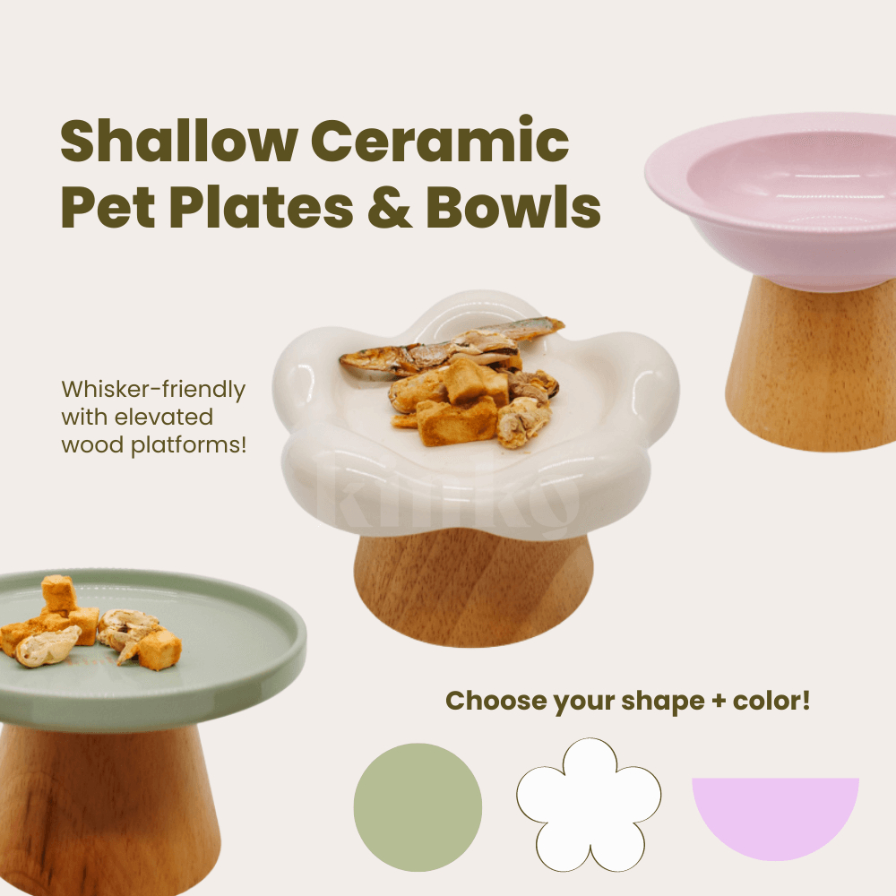 Shallow Ceramic Pet Plates & Bowls (Cats, Dogs, Bunnies) | Shopee ...
