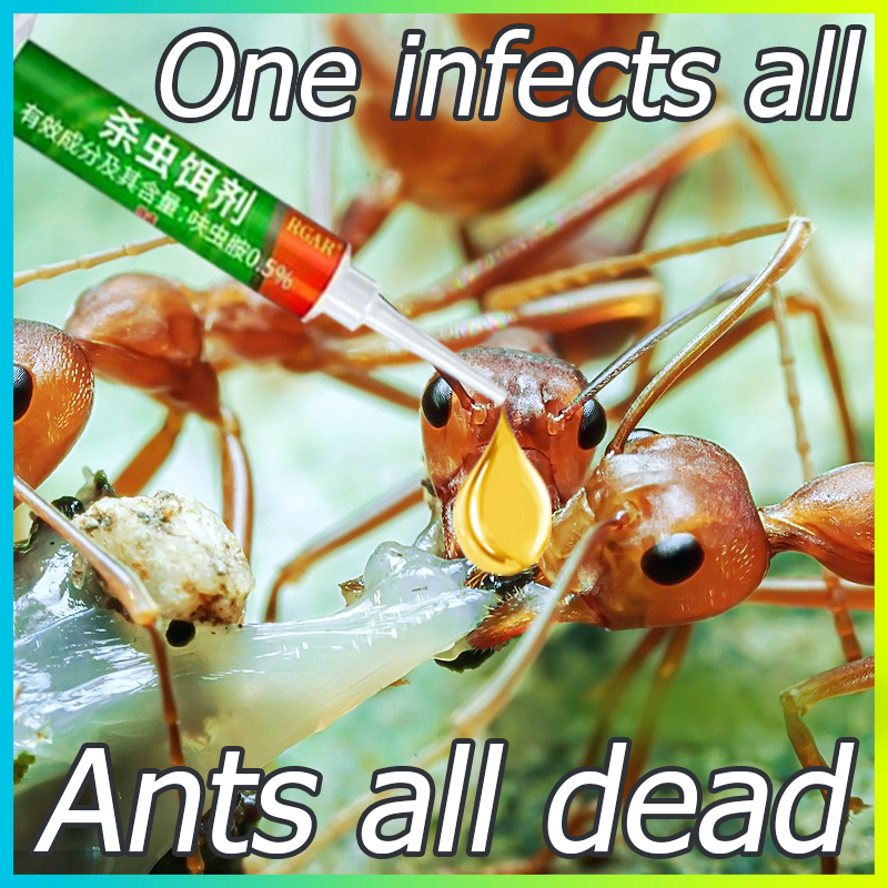 180 days effective ant bait 10g ant killer | Shopee Philippines