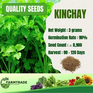 Shop kinchay for Sale on Shopee Philippines