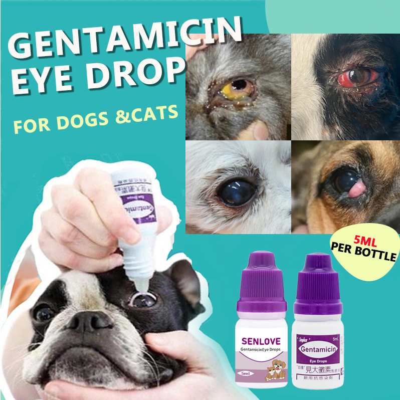 SENLOVE Gentamicin Eye Drop For Dogs Cat Antibacterial Dog Eye Drops ...