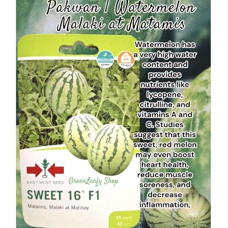 East West Seed Sweet 16 F1 Watermelon | Pakwan Matamis at Malaki Big ...