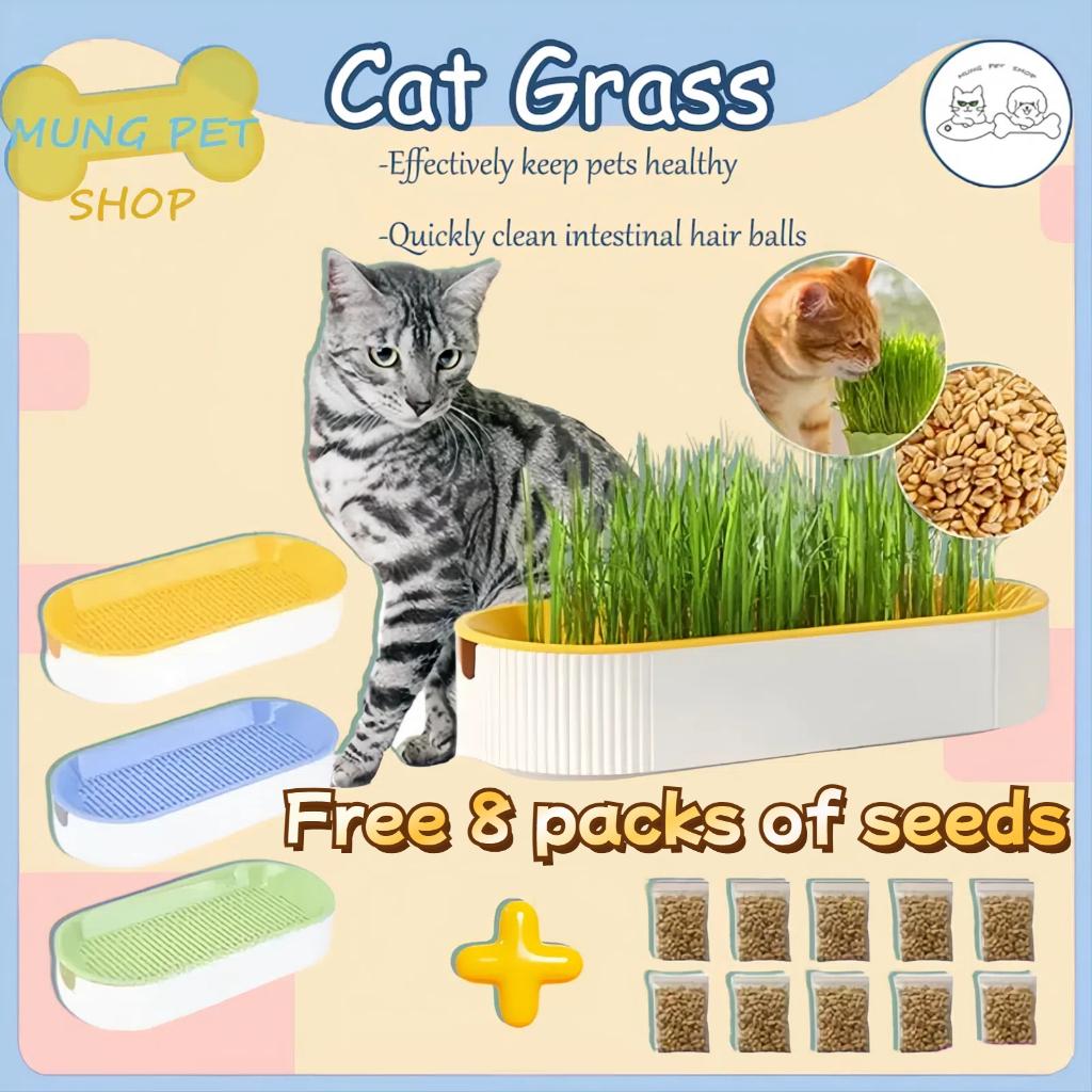 Organic Cat Grass Seeds Send 8 Packs Of Seeds Soilless Cultivation ...