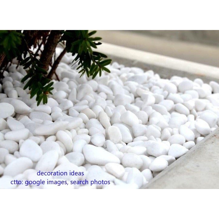 5 kilos White Stones Marble Chunks for Indoor and Outdoor Garden and ...