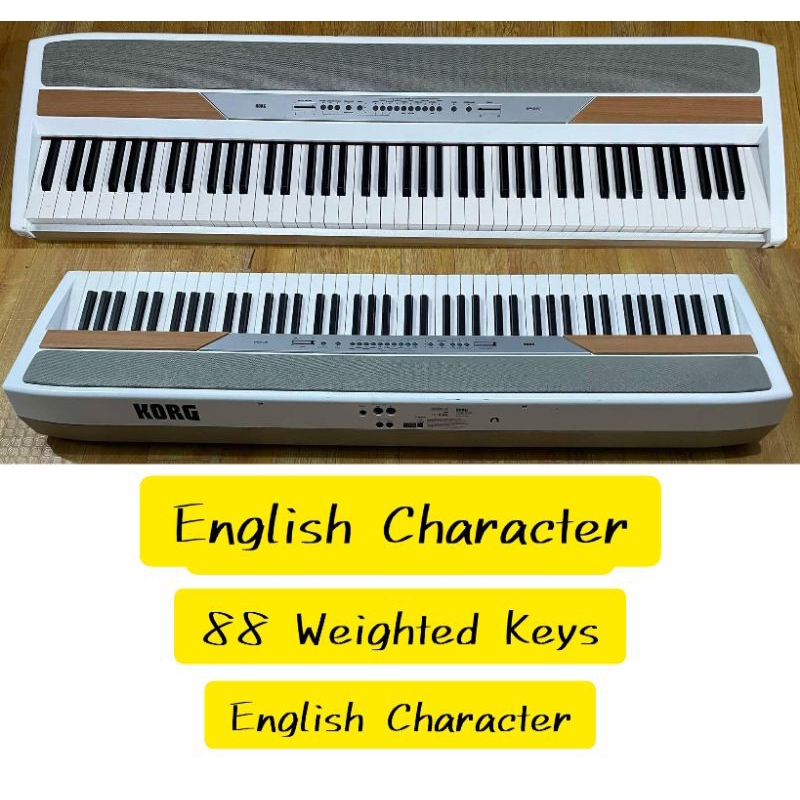 Korg SP-250 (88 Fully Weighted Graded Hammer Action Keys) Japan Surplus ...